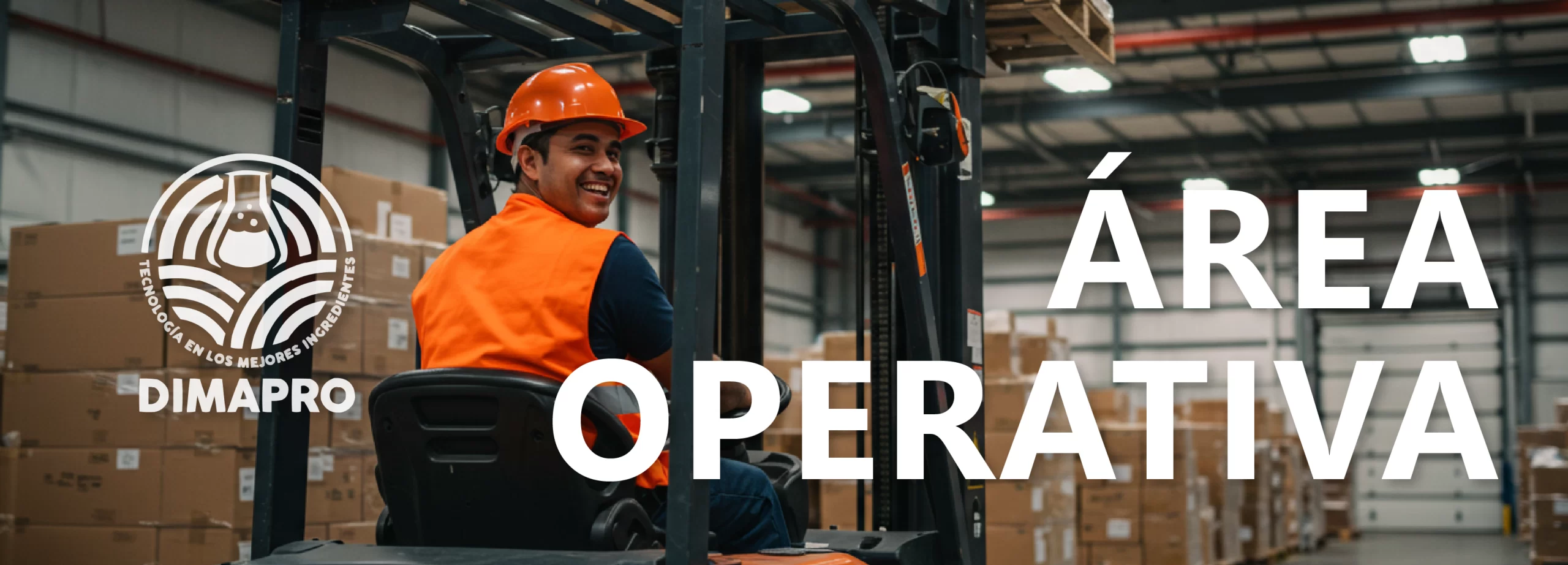 Bolsa de trabajo - DIMAPRO